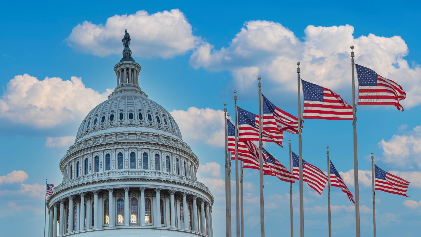 Escheat and Eminent Domain are Both Examples of Government Intervention ...